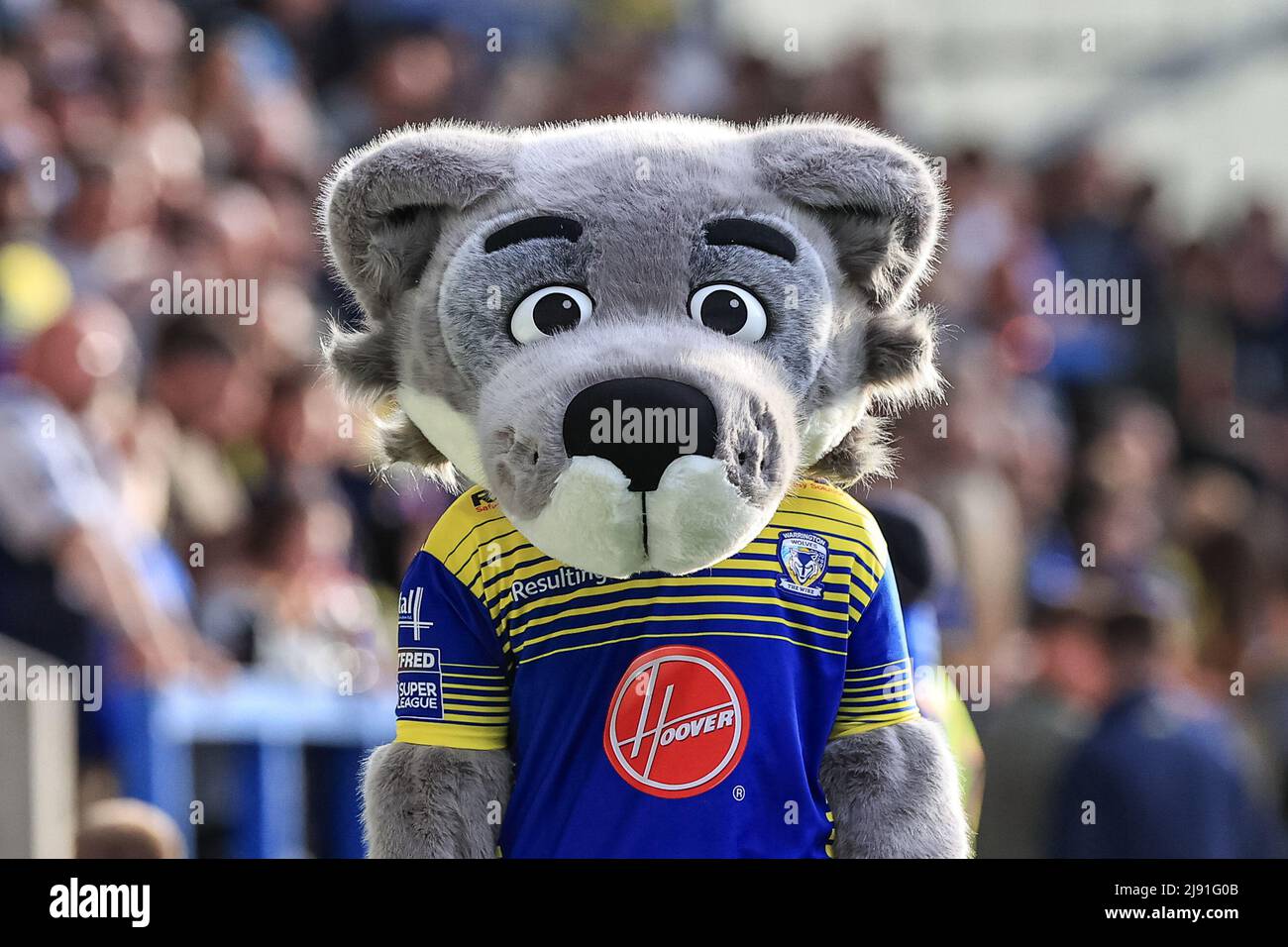 Warrington mascot hi-res stock photography and images - Alamy