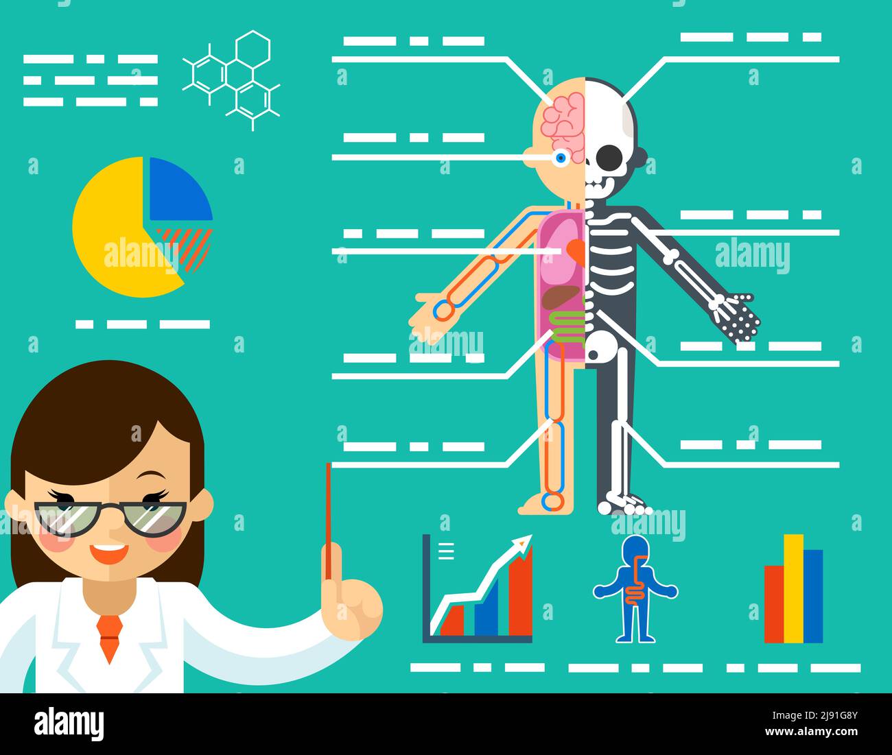 Medical concept. Doctor woman showing anatomy. Science healthcare ...