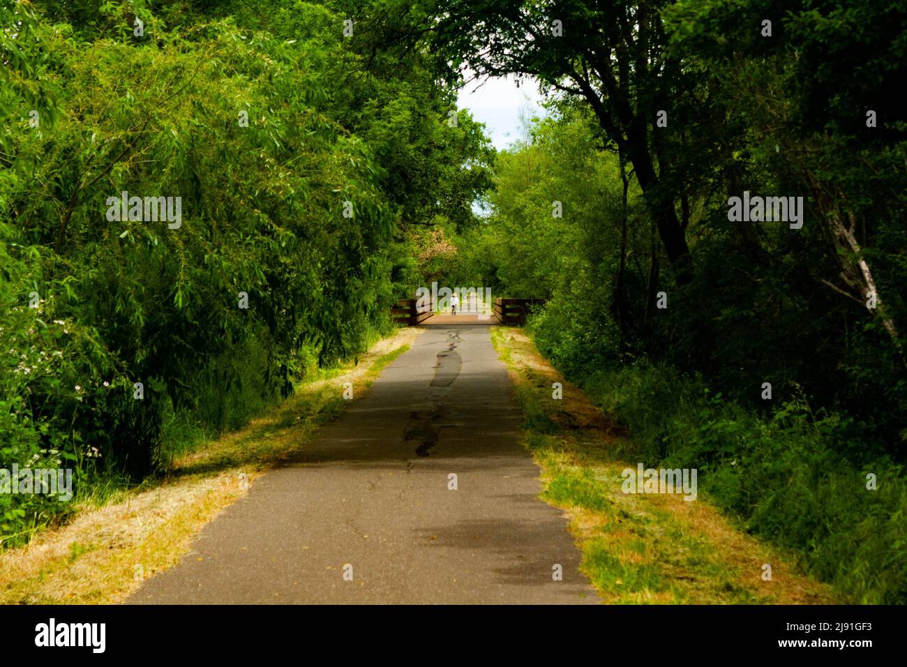 Rural trail hi-res stock photography and images - Alamy