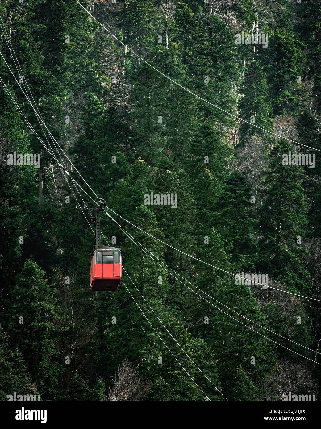 Cable car cabin in mountains with forest Stock Photo - Alamy