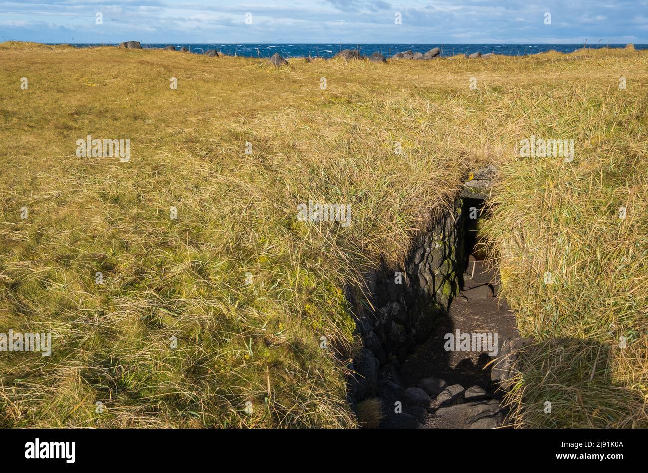 Falki hi-res stock photography and images - Alamy