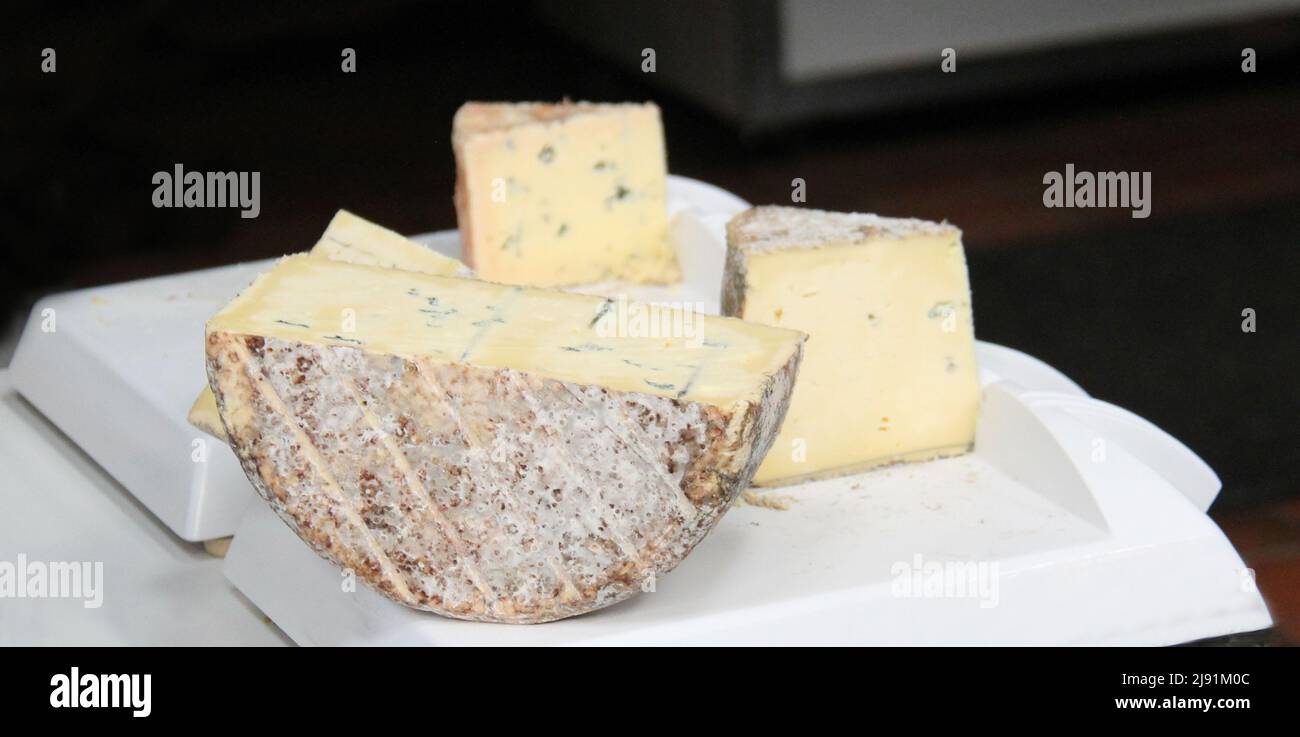 Fungus display hi-res stock photography and images - Alamy