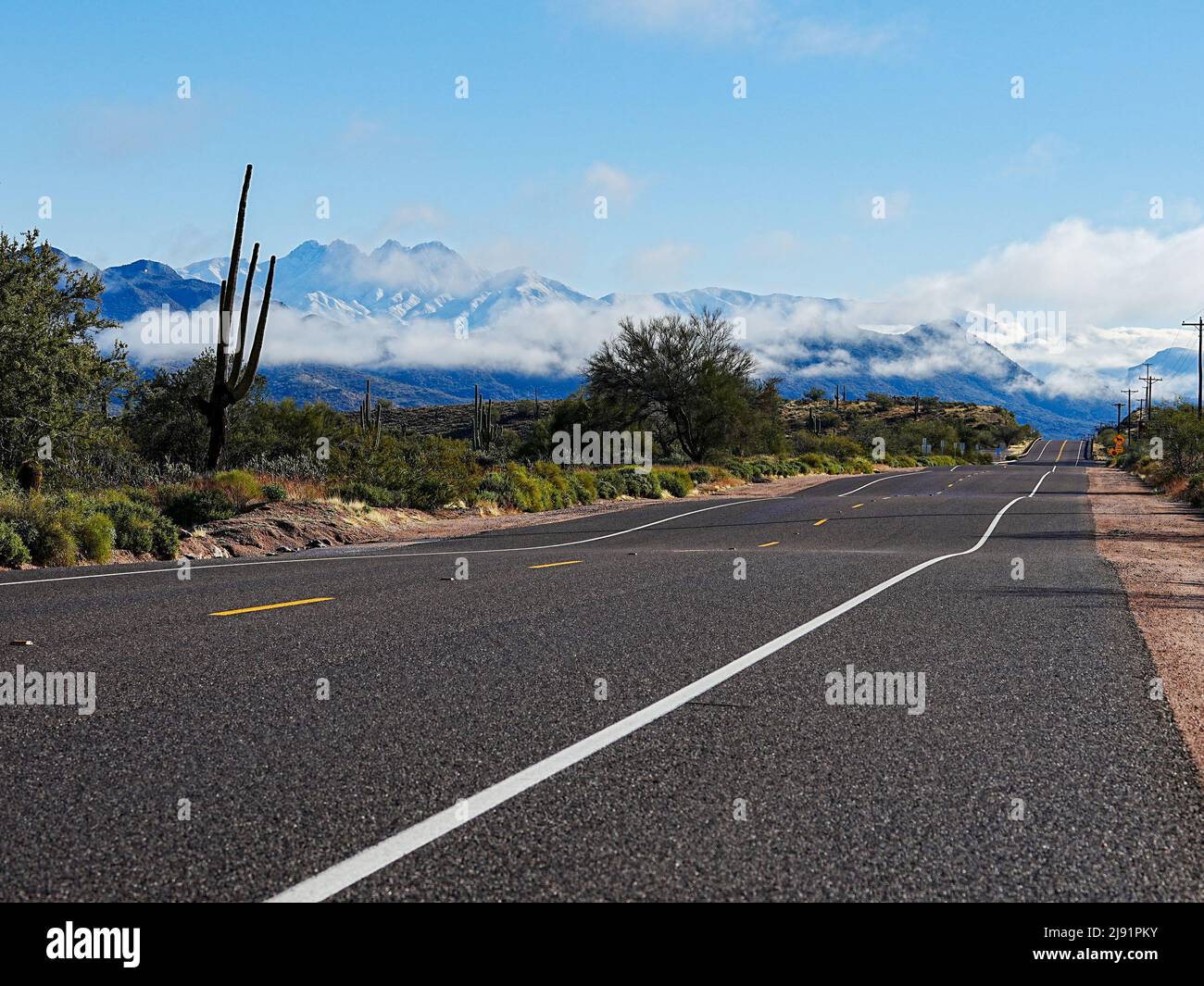 A rare snow event brings snow and fog to Arizona's Four Peaks range ...