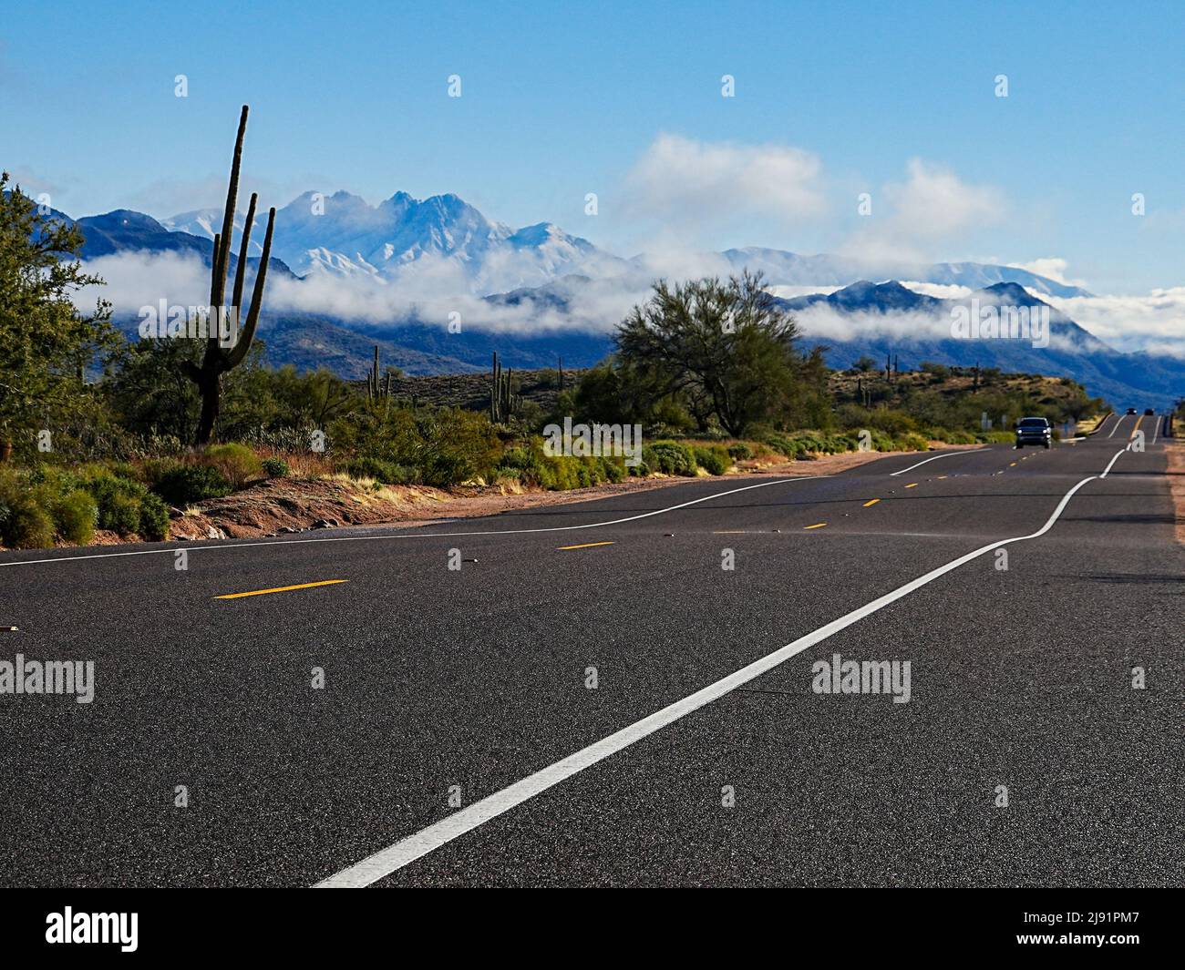 A rare snow event brings snow and fog to Arizona's Four Peaks range ...