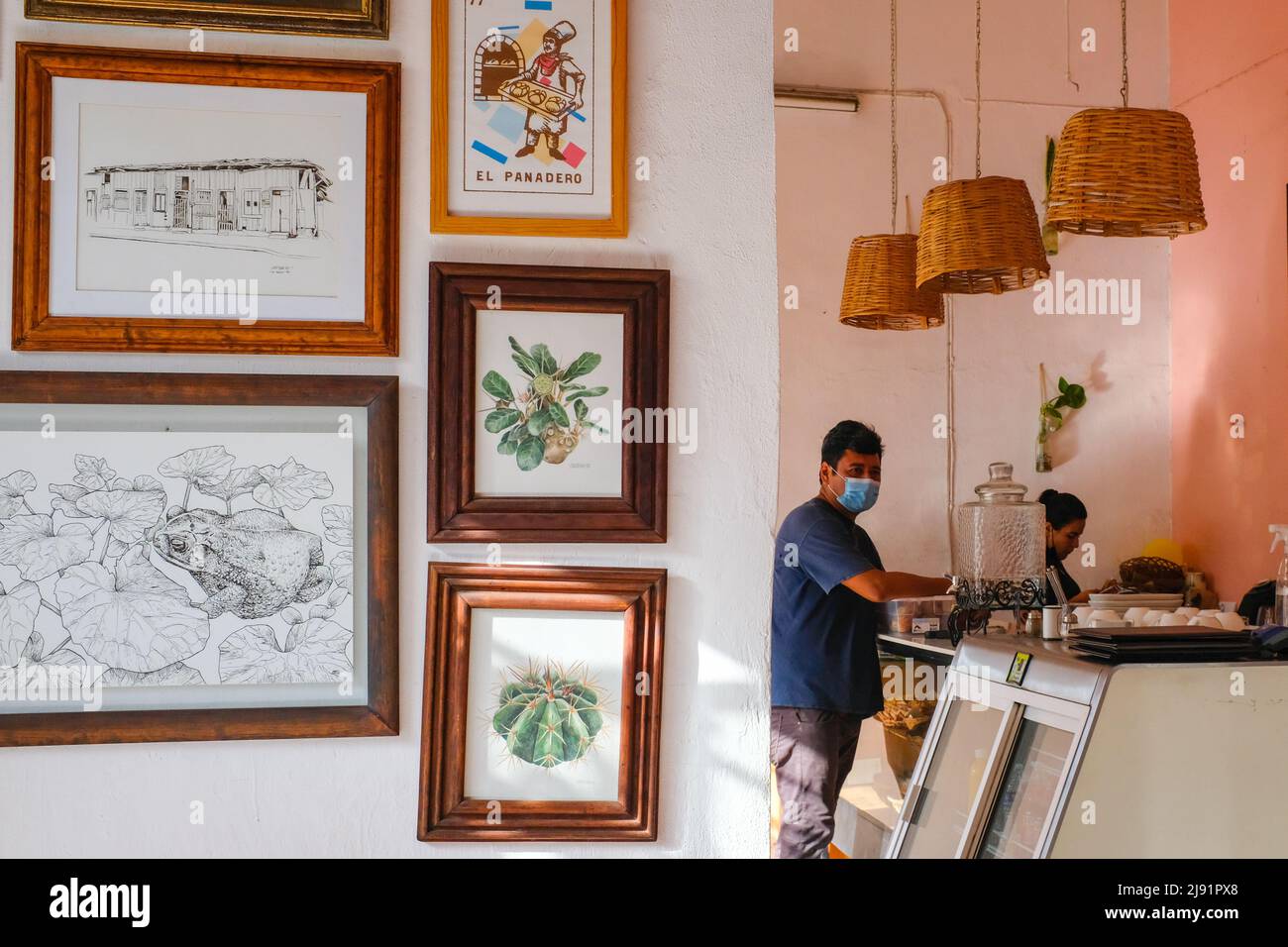 Escargot Bakery and Coffee Shop in Merida Historical Center , Yucatan ...