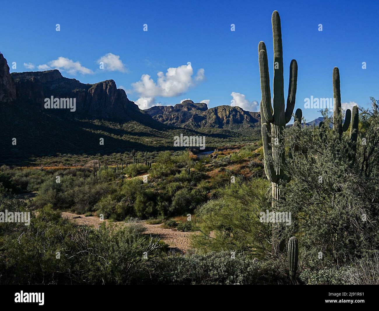 The Water Users Recreation site northeast of Phoenix Arizona is ...