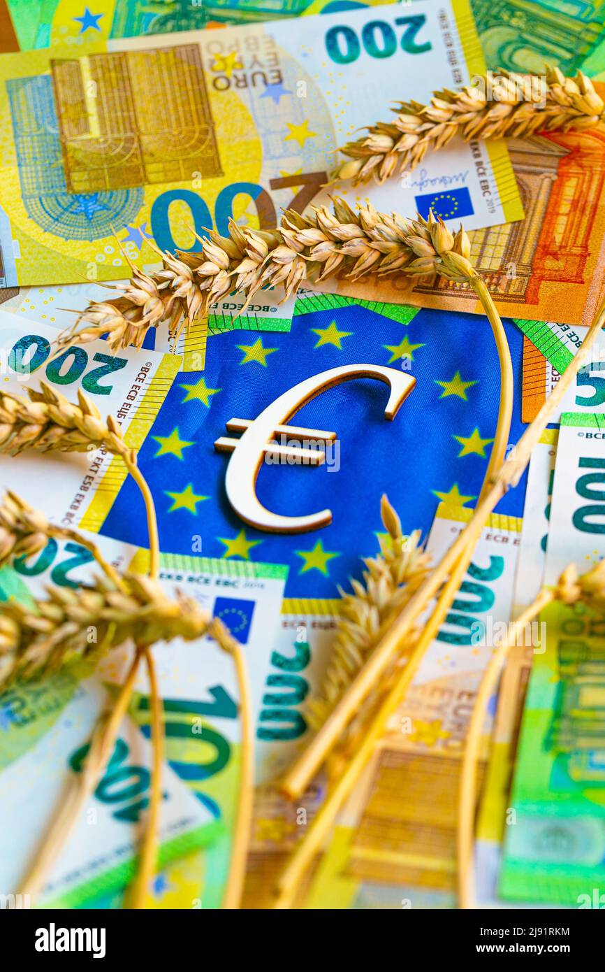 cost of wheat and flour in the EU..Falling euro coins on spikelets of ...