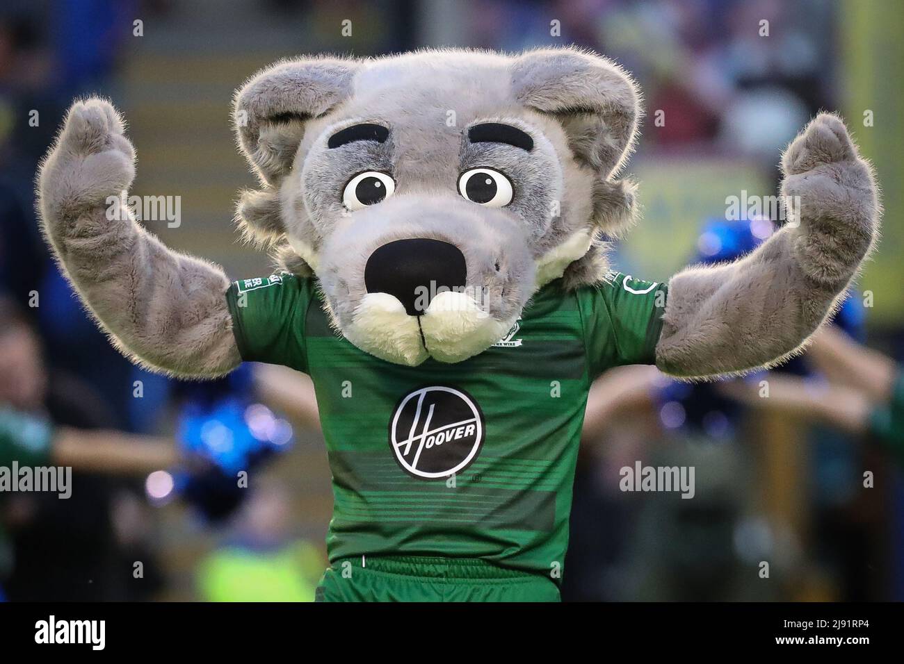 The st helens mascot hi-res stock photography and images - Alamy