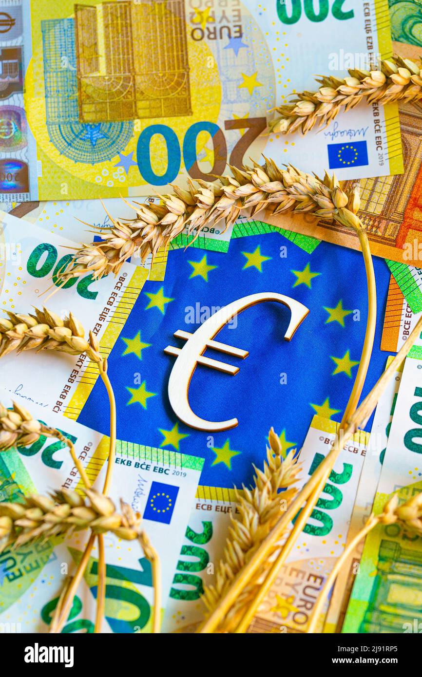 cost of wheat and flour in the EU. spikelets of wheat and paper euro ...