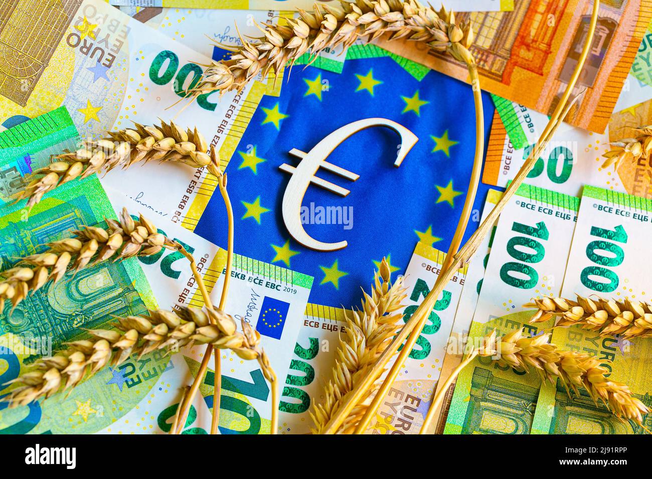 cost of wheat and flour in the EU..Falling euro coins on spikelets of ...