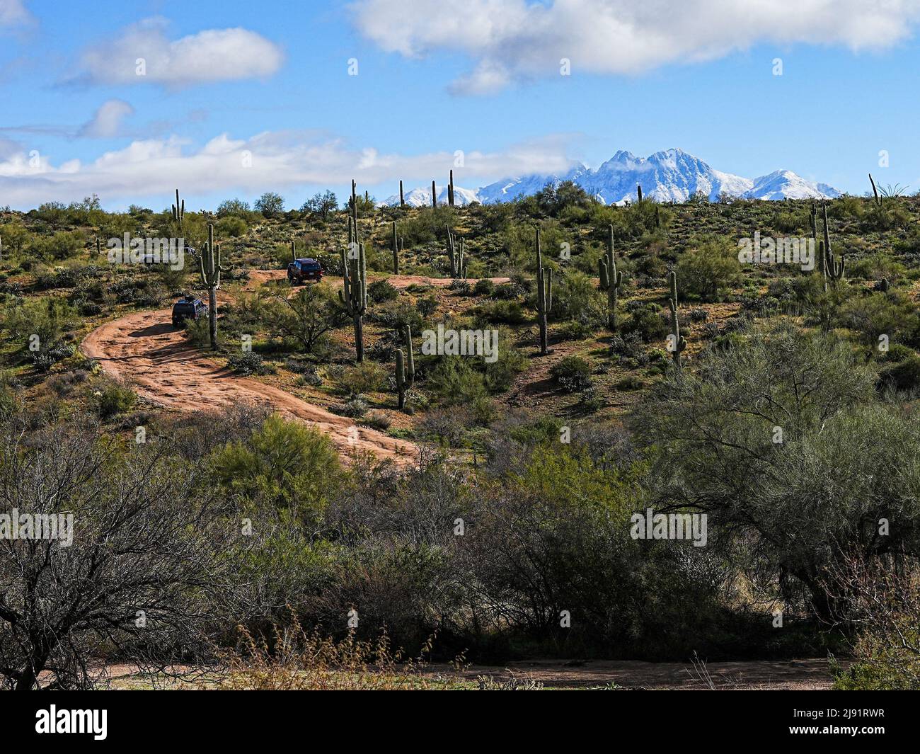 A rare snow event brings snow and fog to Arizona's Four Peaks range ...