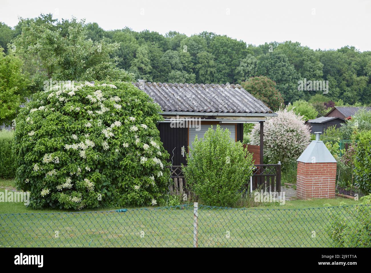 Huerth, NRW, Germany, 19 03 2022, tiny house in an allotment garden ...