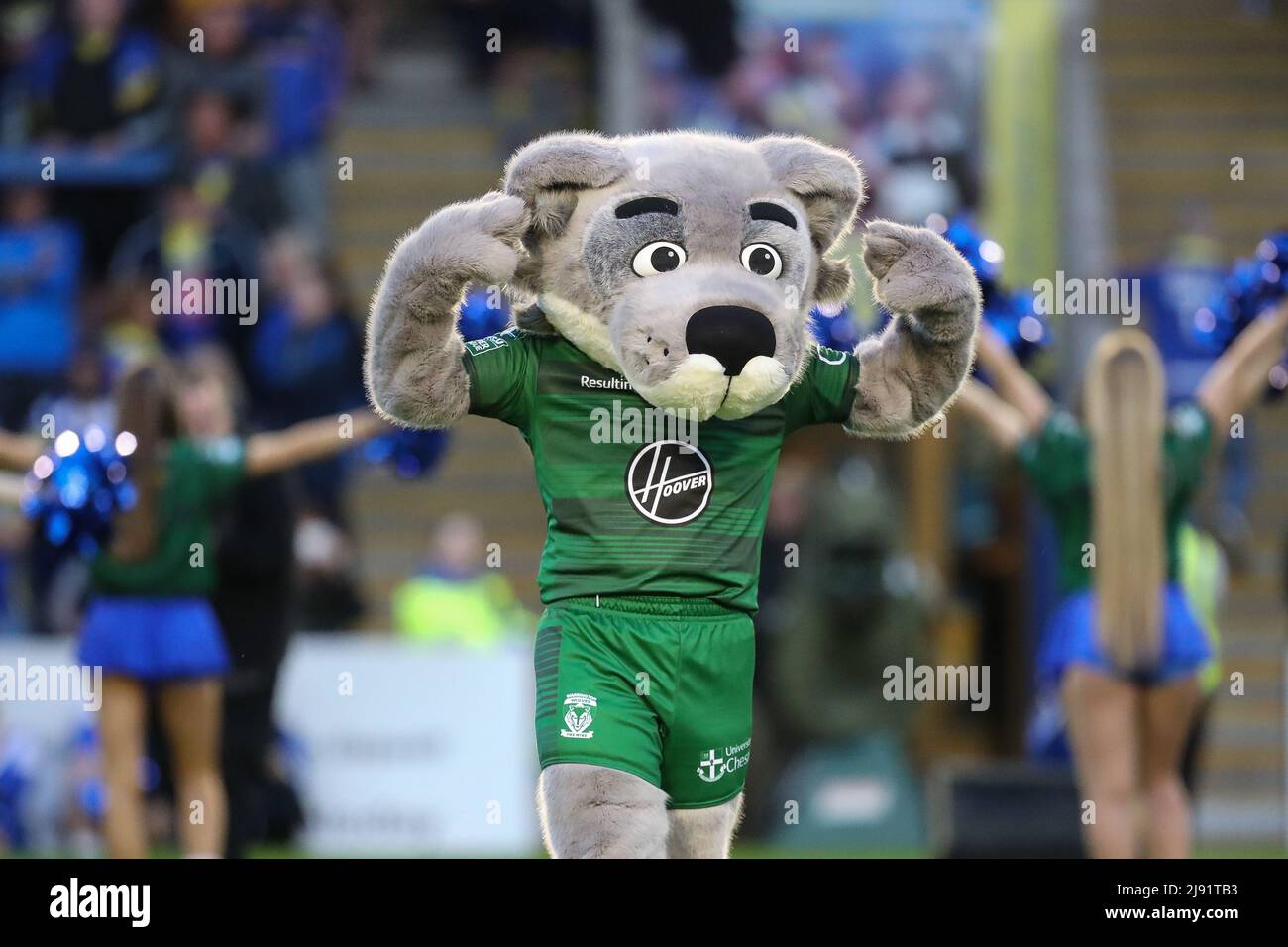 Wolves mascot hi-res stock photography and images - Alamy