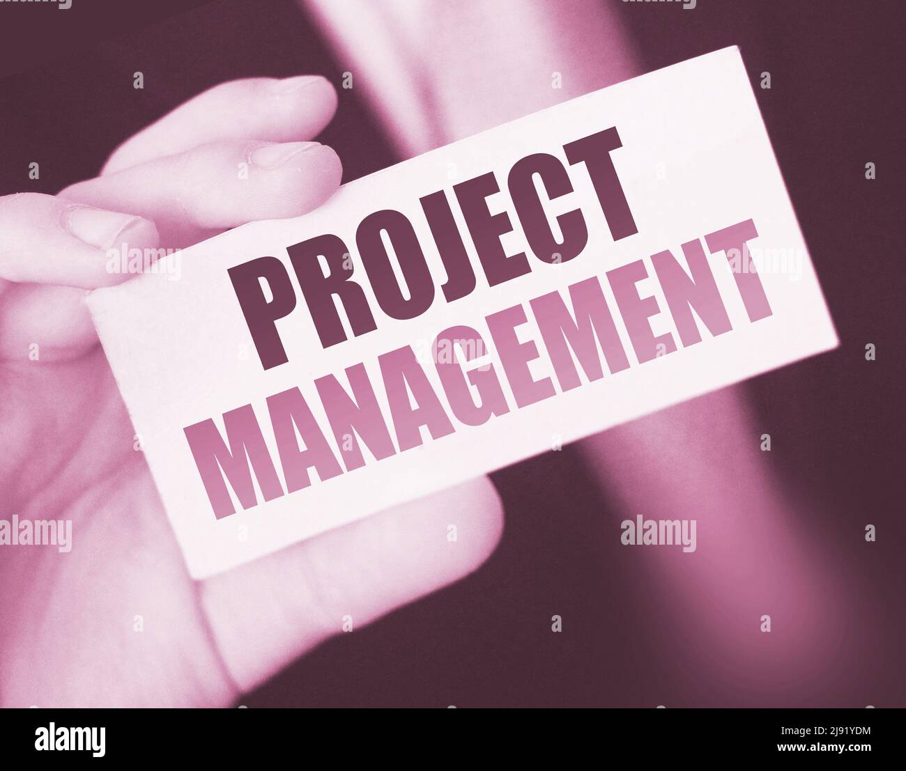 PROJECT MANAGEMENT words on card businessman holds. Bbusiness concept Stock Photo - Alamy