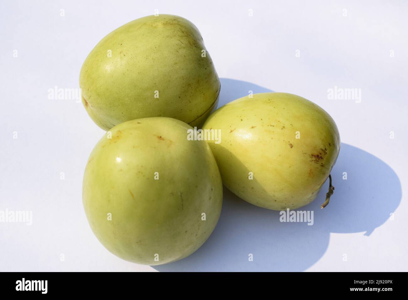 Ber bor hi-res stock photography and images - Alamy