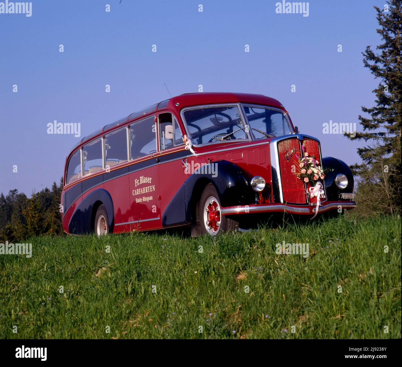Saurer, Bus, Ausflug mit einem historischen Bus, Autobus, Omnibus ...