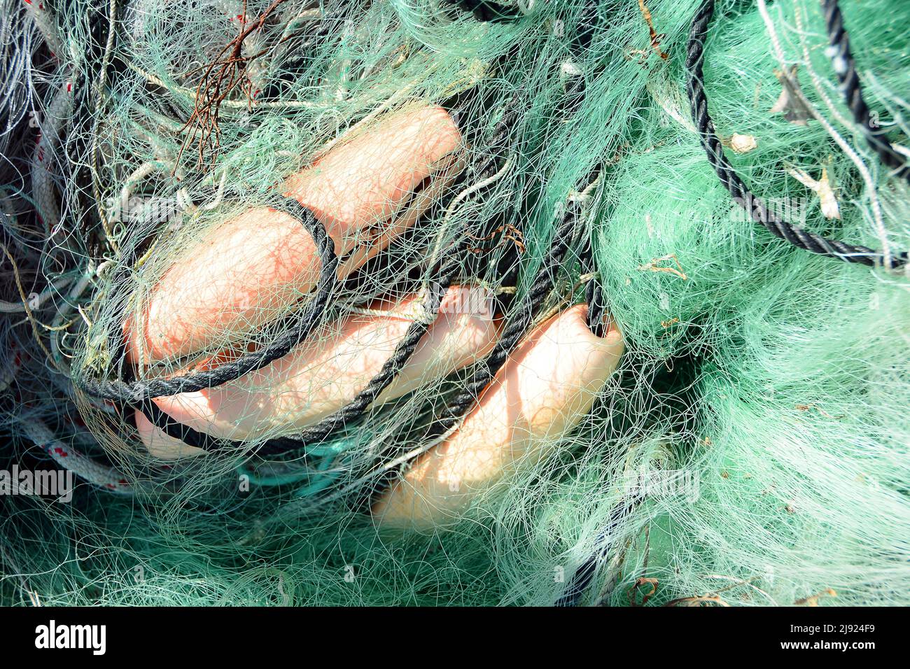 Green fishing net with rope and floats, Germany Stock Photo - Alamy