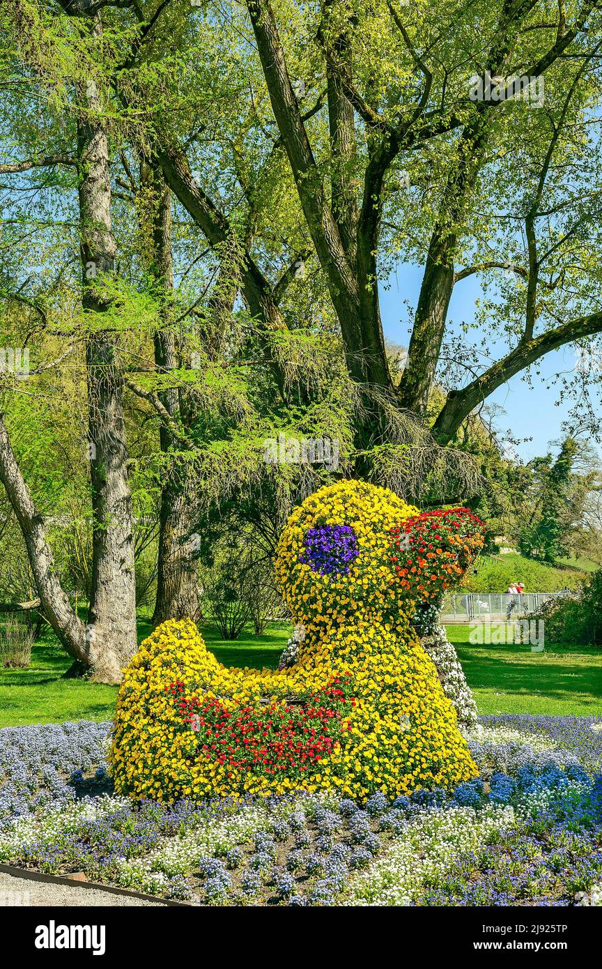 Flower sculpture duck, Mainau Island, Lake Constance, Baden-Wuettemberg ...