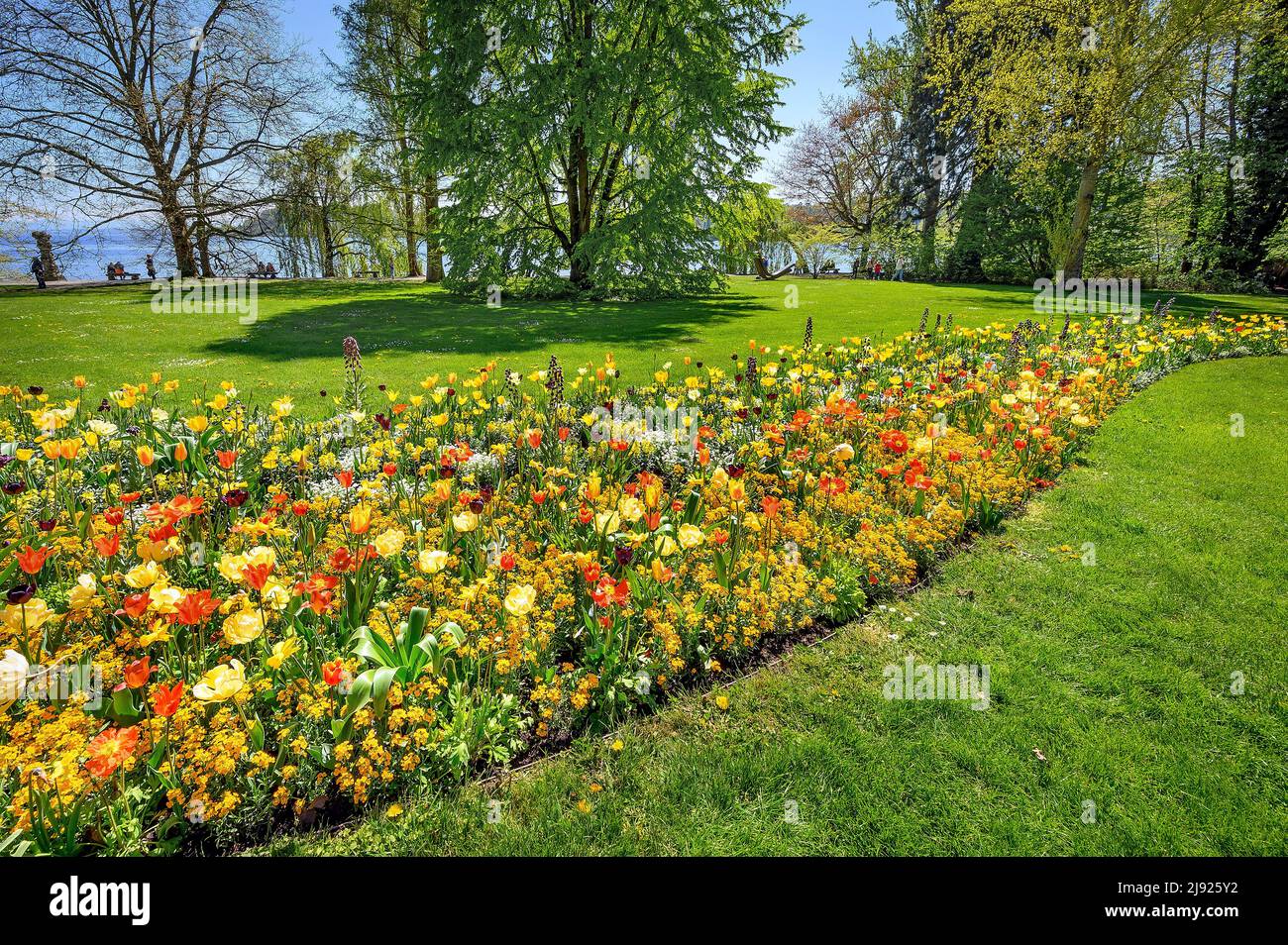 Flowers island mainau germany hi-res stock photography and images - Alamy
