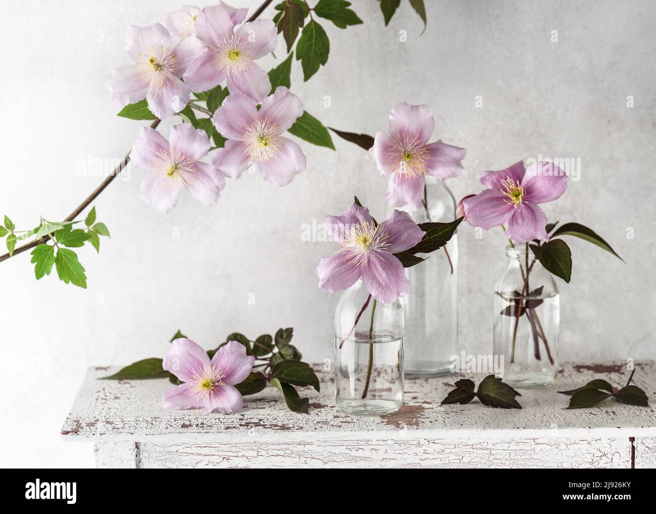 Beautiful spring floristic arrangement with pastel white and rosa ...