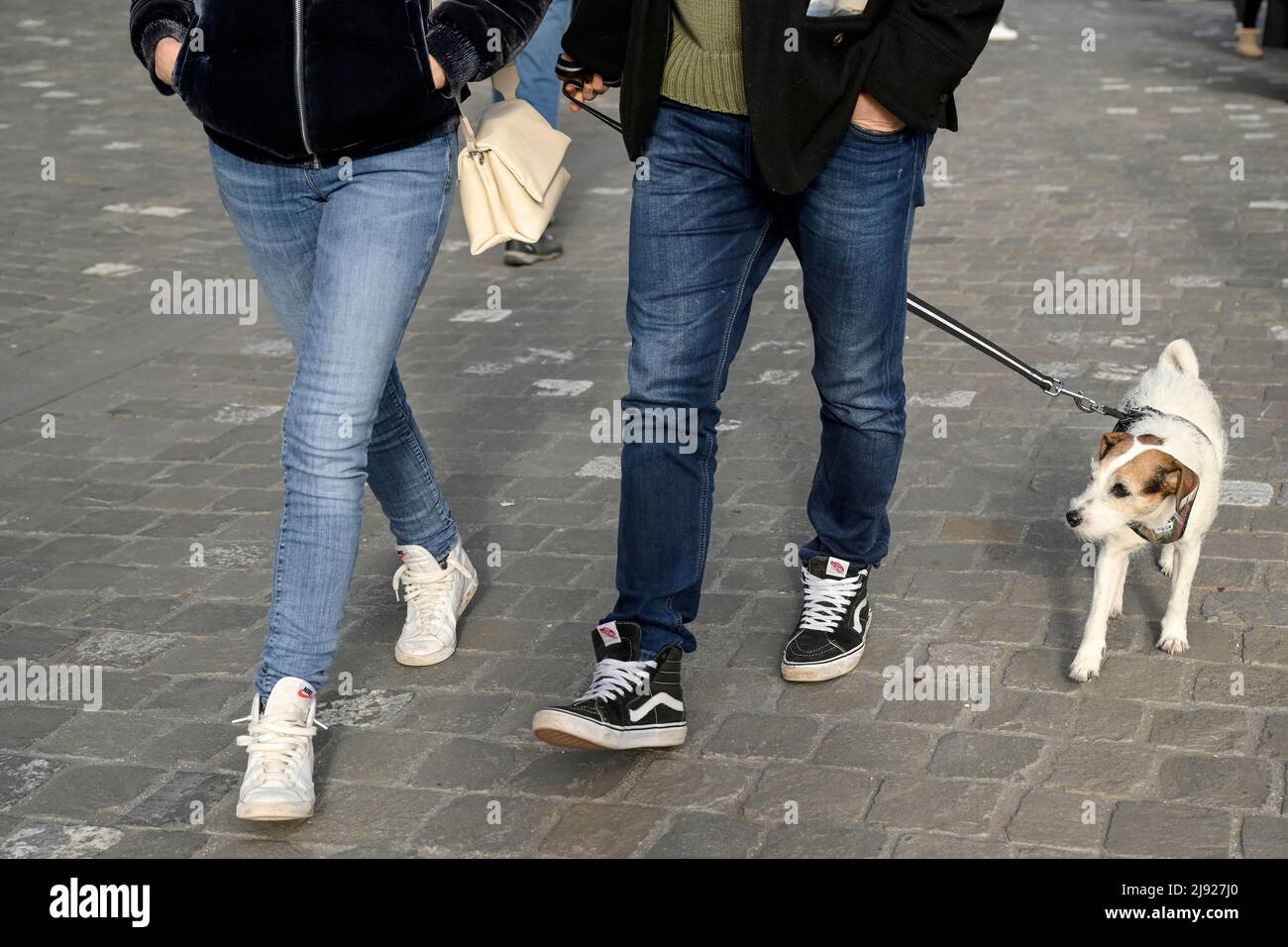Walk pair dog Stock Photo - Alamy