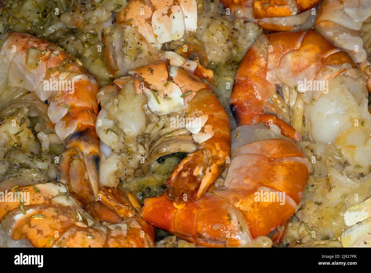 Fried giant river prawn (Macrobrachium rosenbergii), Indo-Pacific Stock ...