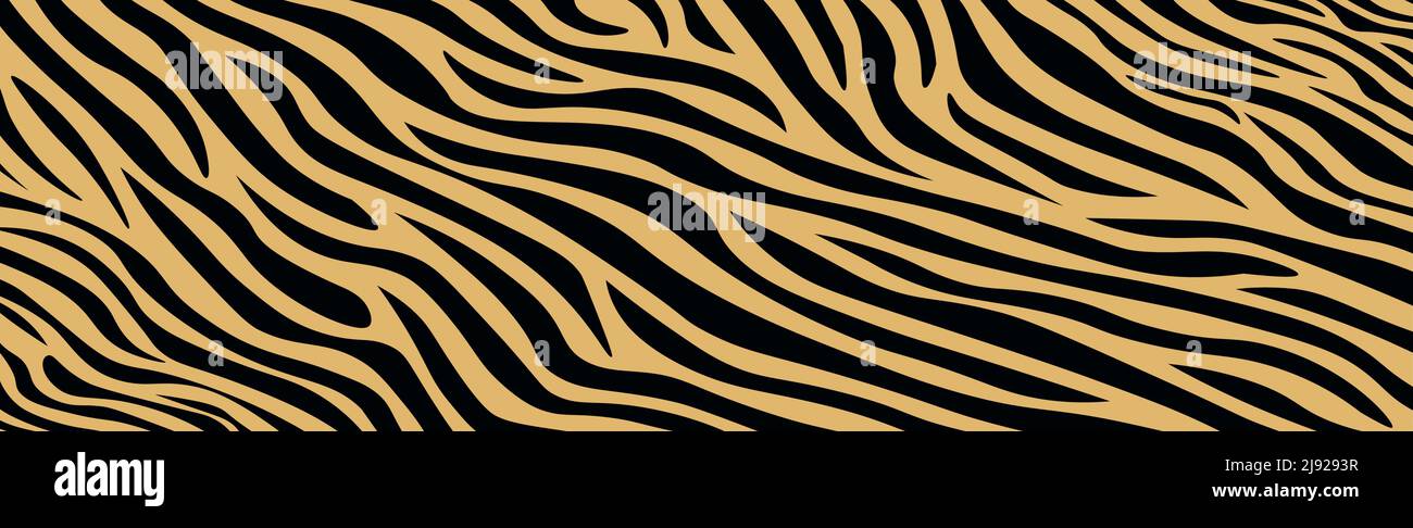 Panoramic texture zebra skin set of chaotic lines - Vector illustration ...