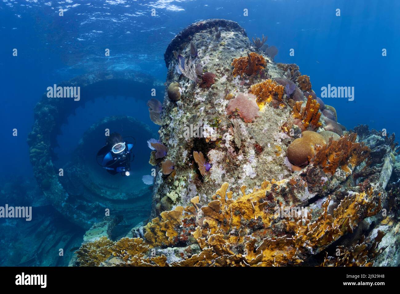 Diver, gun turret, overturned, rear toothed rim of gun turret ...