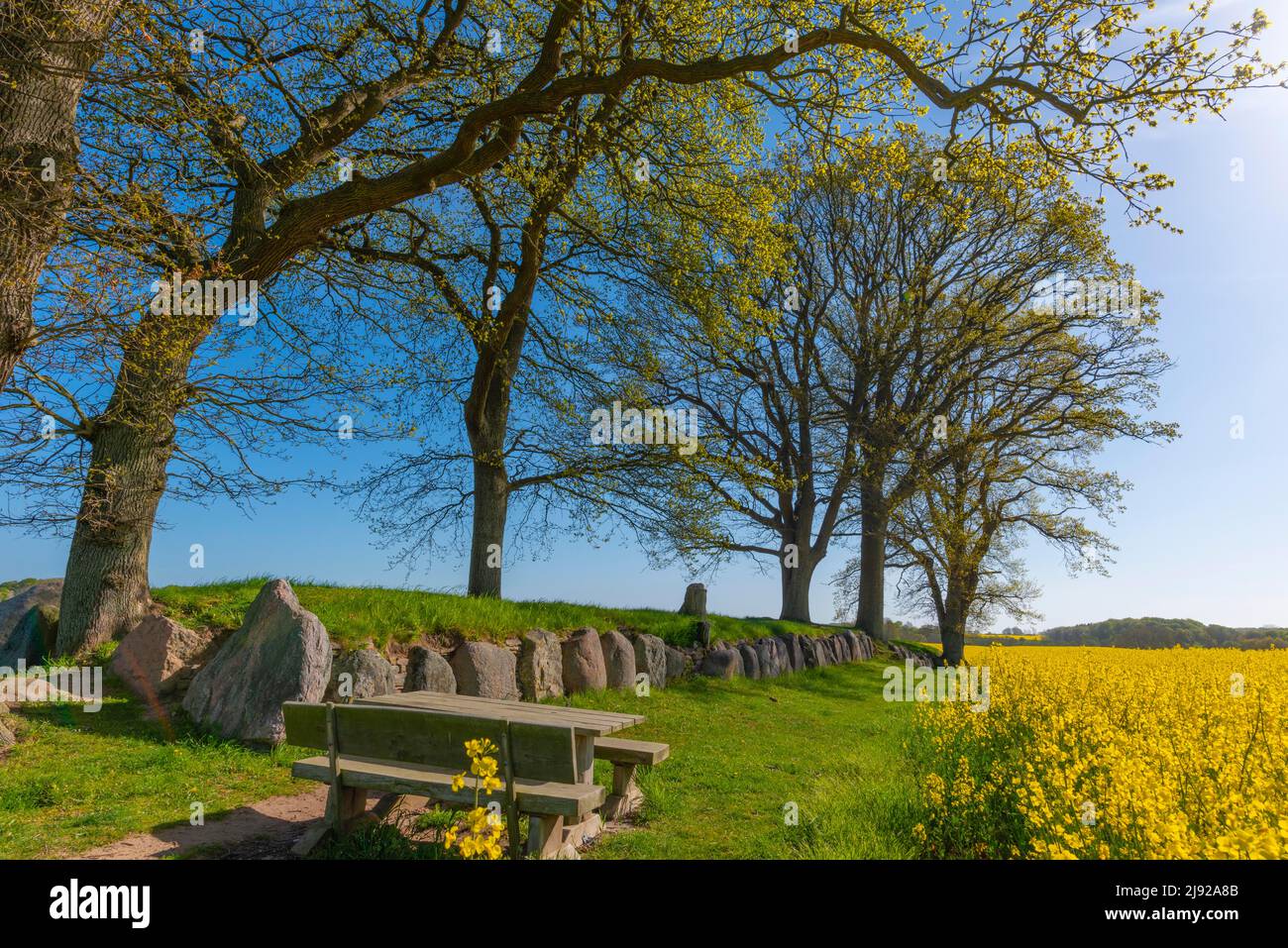 Megalithic grave Karlsminde, c. 2500v. Foundling, megalithic grave ...