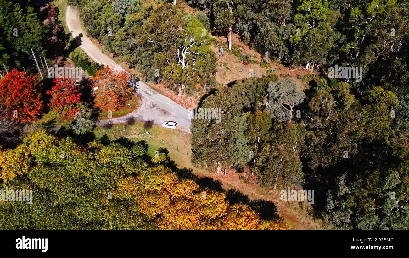 Aerial trees footage hi-res stock photography and images - Alamy