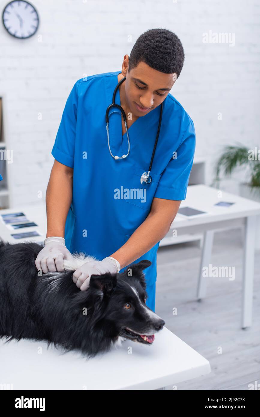American vet hi-res stock photography and images - Alamy