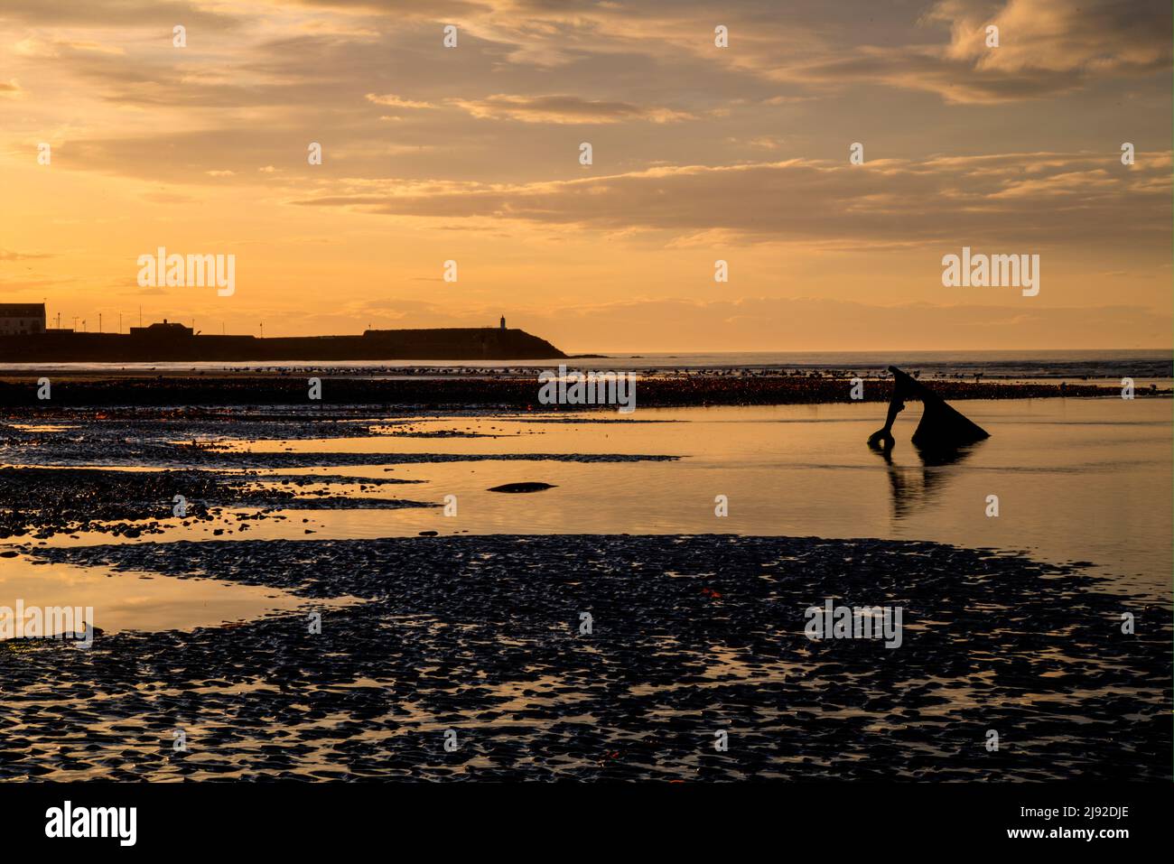 banff estuary aberdeenshire scotland Stock Photo - Alamy