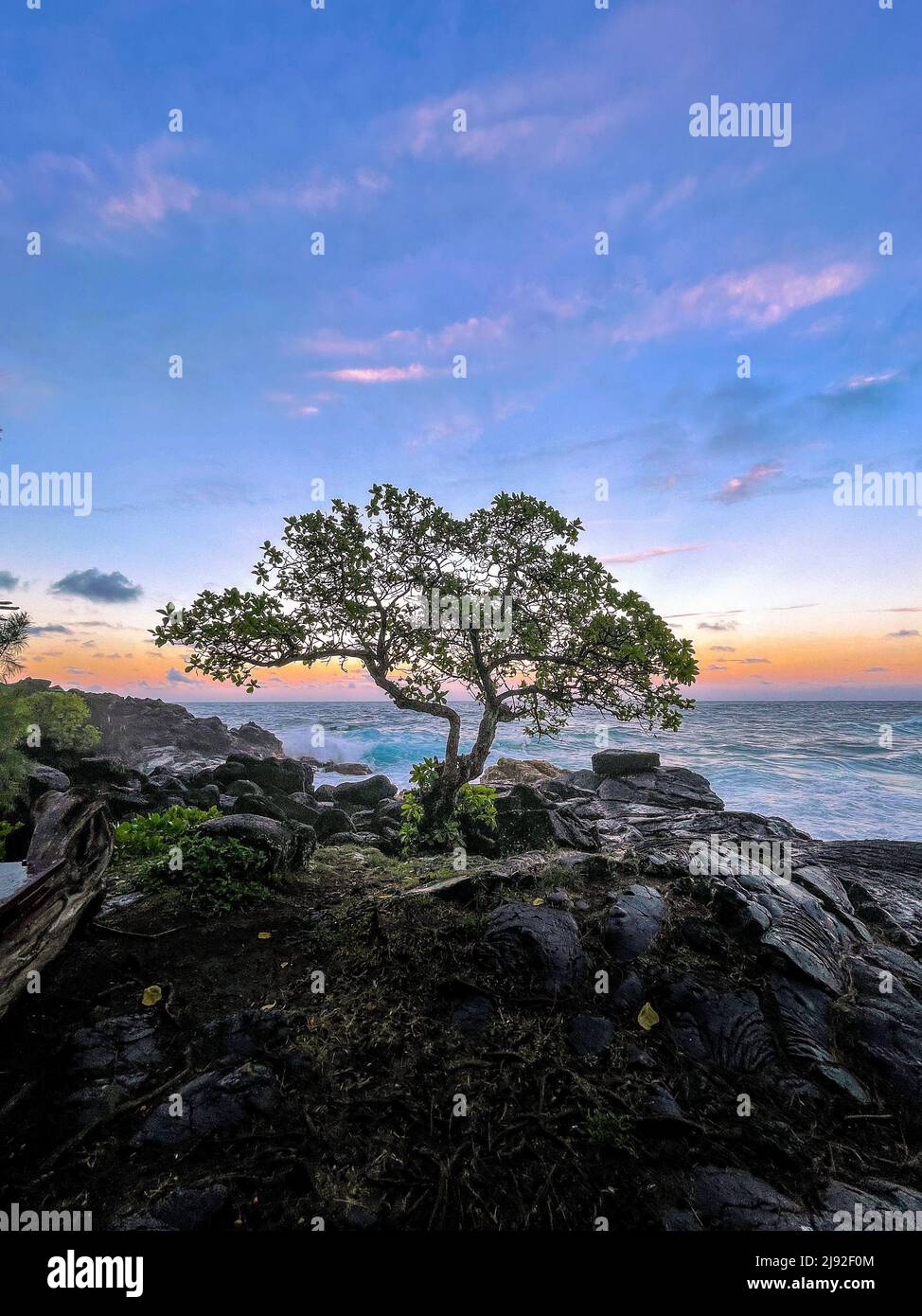 Tropical waves surf lava magma hi-res stock photography and images - Alamy