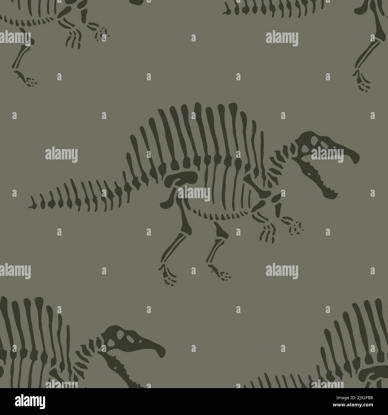 Hand drawn spinosaurus dinosaur fossil seamless vector pattern. Gender ...