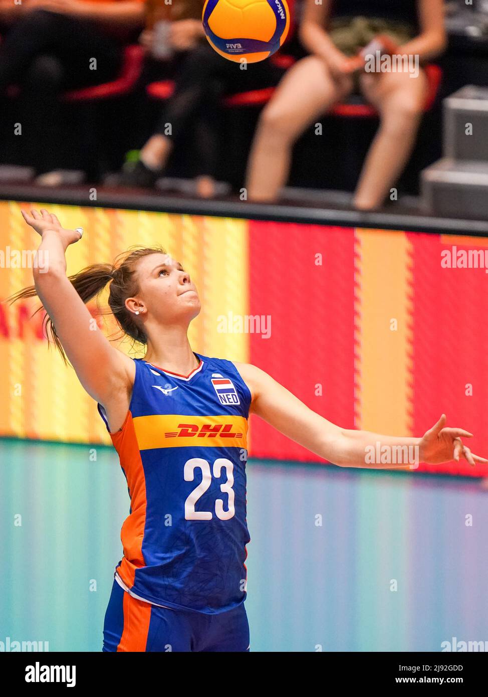 Timmerman hi-res stock photography and images - Alamy