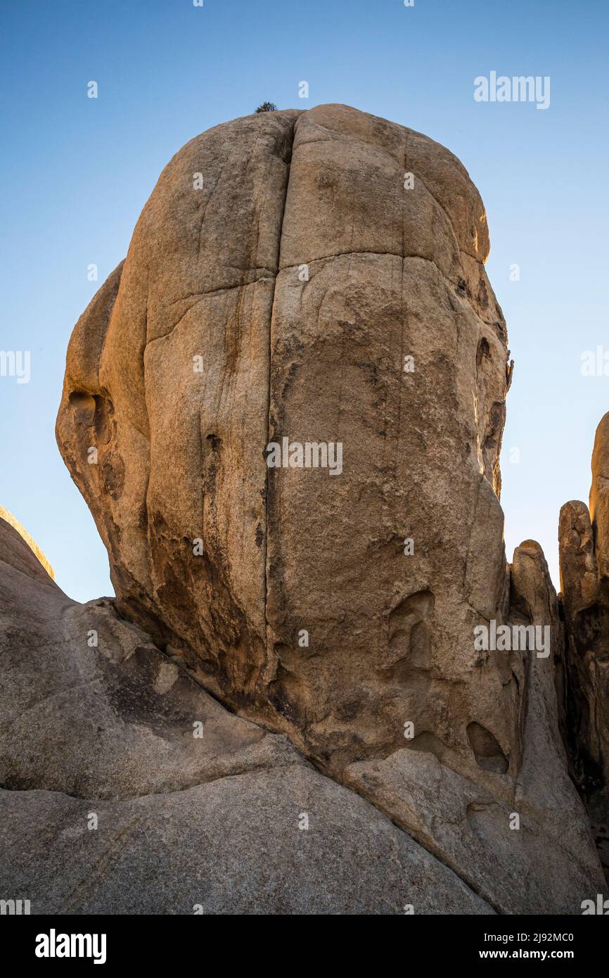 Tower shaded by tree hi-res stock photography and images - Alamy