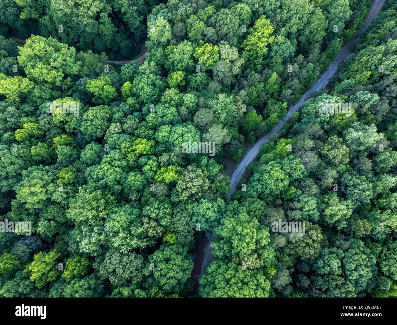 Aerial view dirt road winding hi-res stock photography and images - Alamy