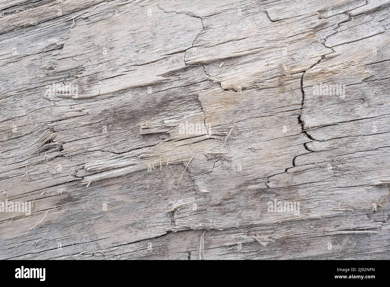 Wood Texture With Natural Pattern. High quality photo Stock Photo - Alamy