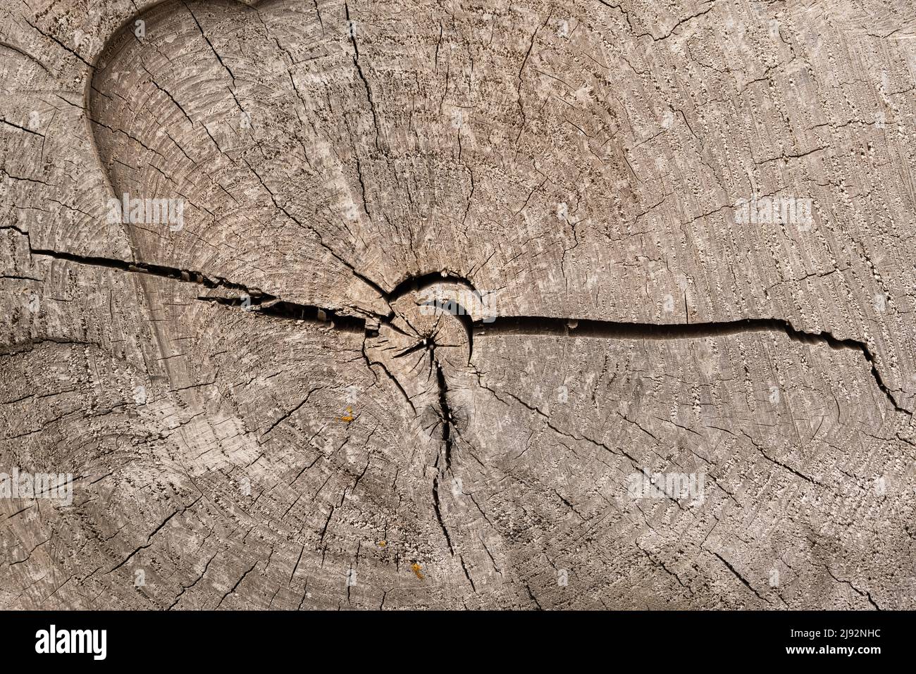 Wood Texture With Natural Pattern. High quality photo Stock Photo - Alamy