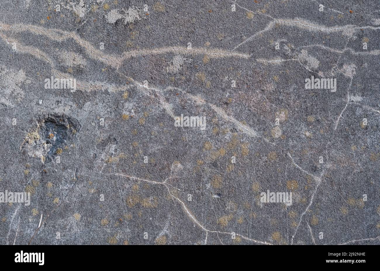 Street wall background, texture. High quality photo Stock Photo - Alamy
