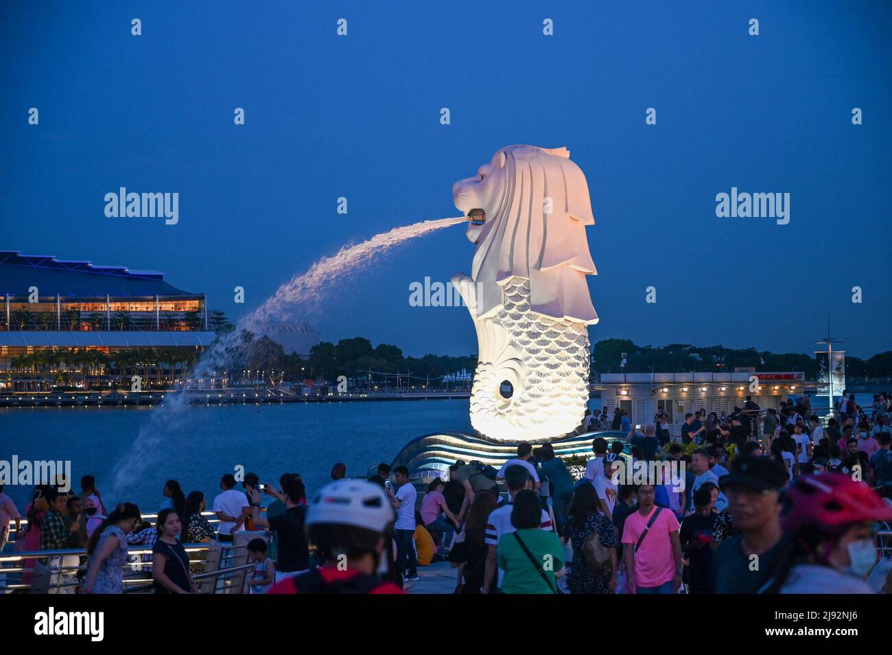 Merlion Park, a iconic statue in Singapore at Night. Merlion is a ...