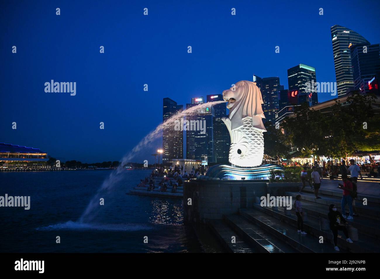 Merlion Park, a iconic statue in Singapore at Night. Merlion is a ...