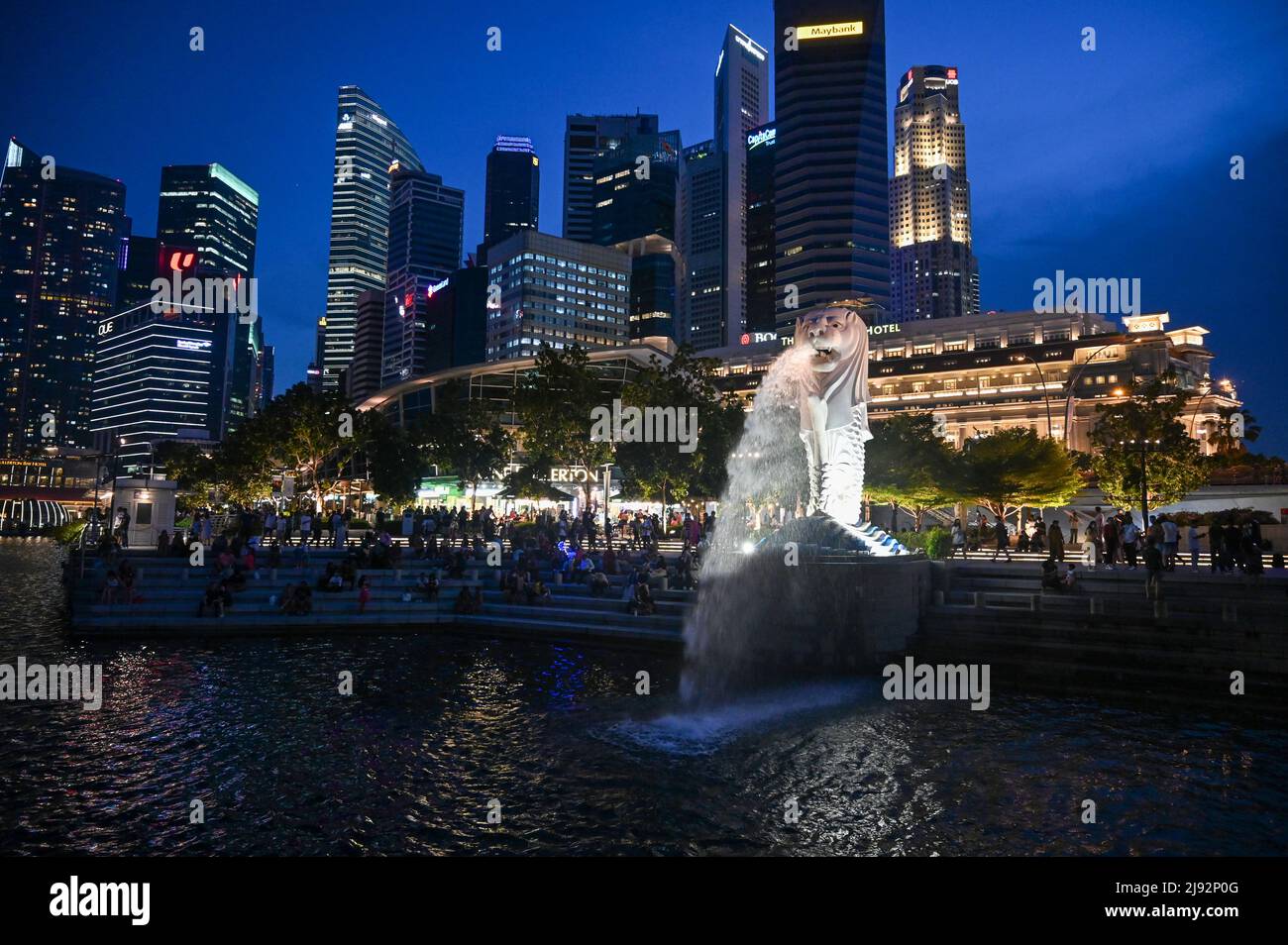 Merlion Park, a iconic statue in Singapore at Night. Merlion is a ...