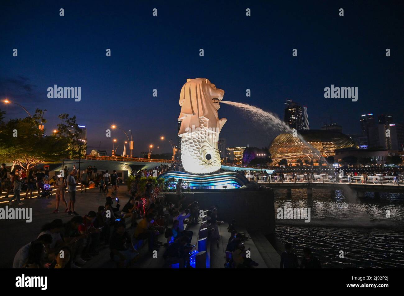 Merlion Park, a iconic statue in Singapore at Night. Merlion is a ...