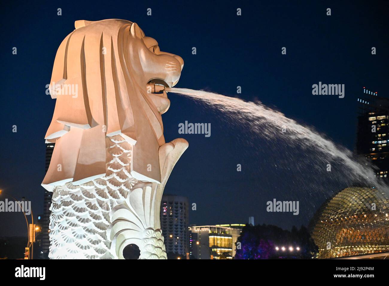 Merlion Park, a iconic statue in Singapore at Night. Merlion is a ...