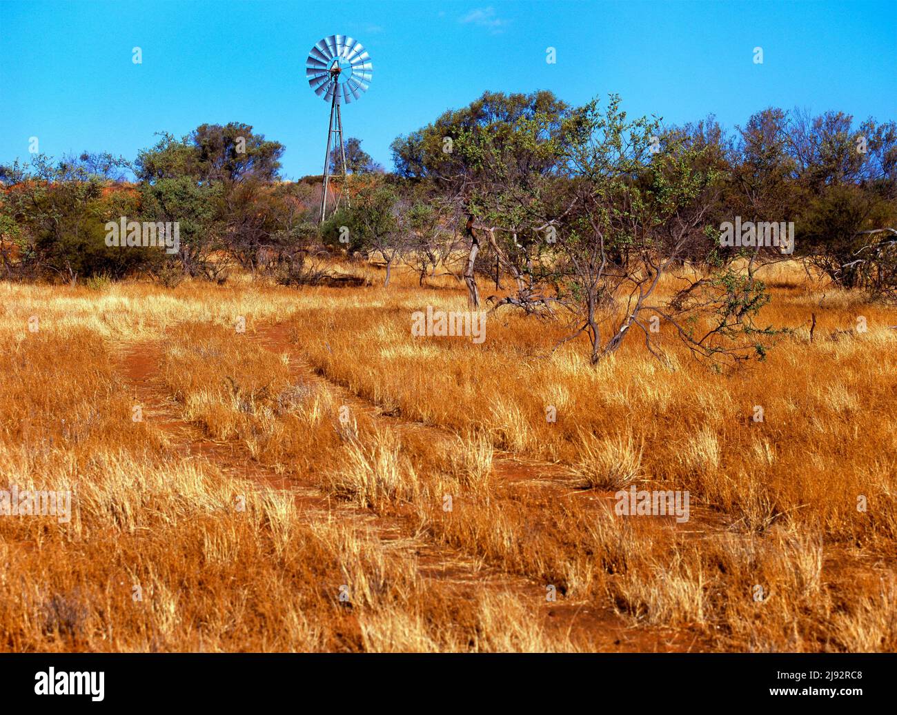 West australian vegetation hi-res stock photography and images - Alamy