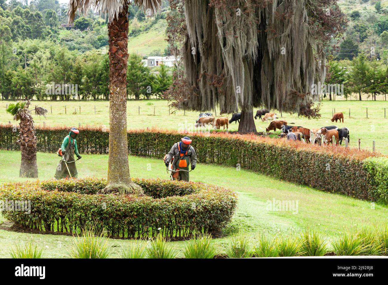 Weed farm worker hi-res stock photography and images - Alamy