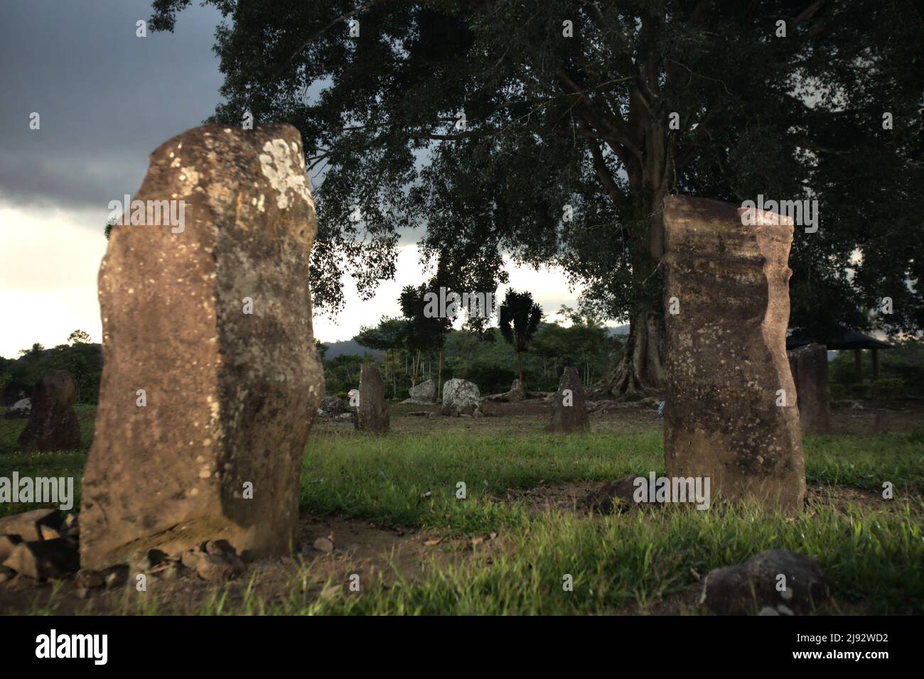 Megalithic menhirs at one of Sekala Brak megalithic sites in Purajaya ...