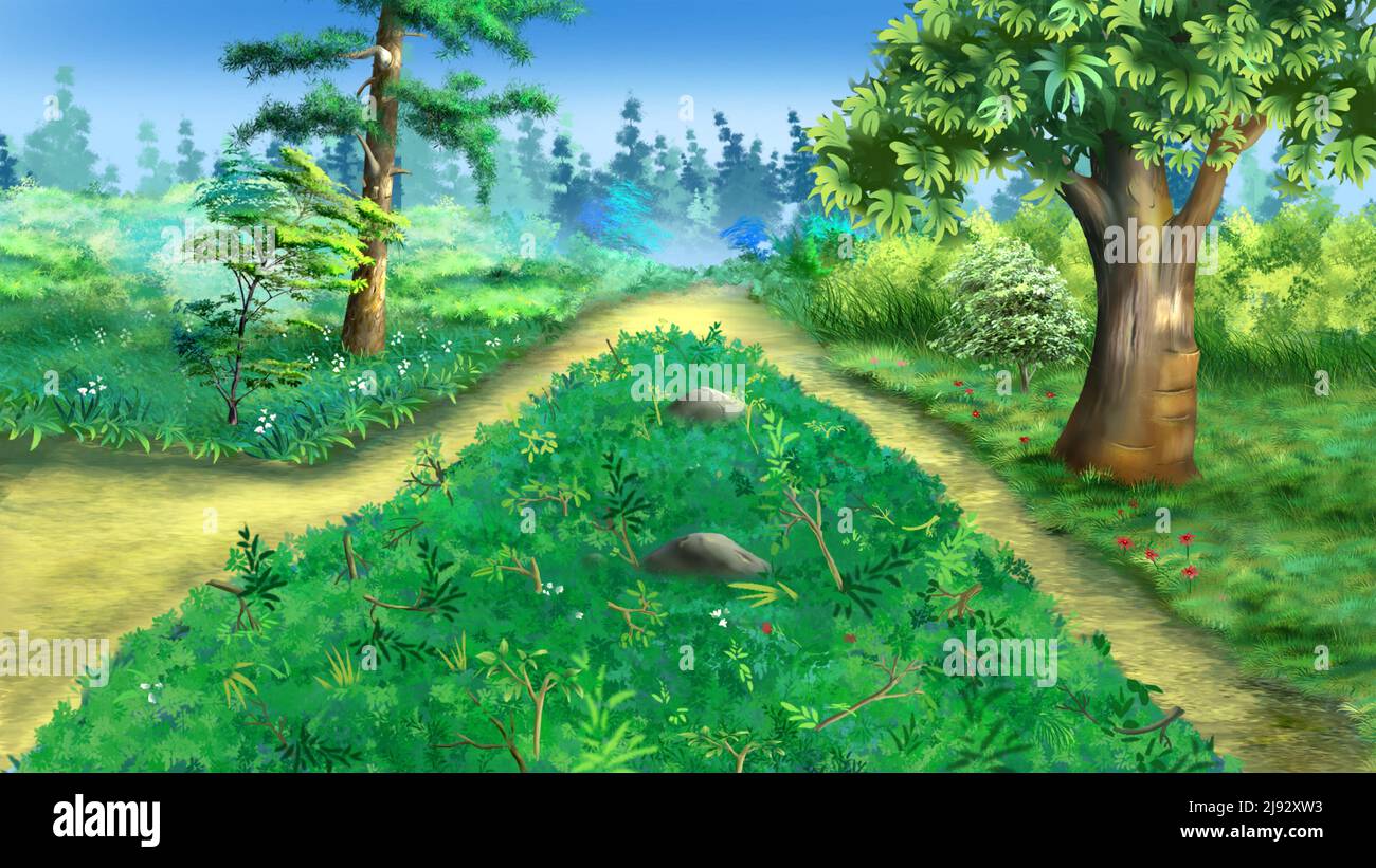 Pathway in forest cartoon hi-res stock photography and images - Alamy