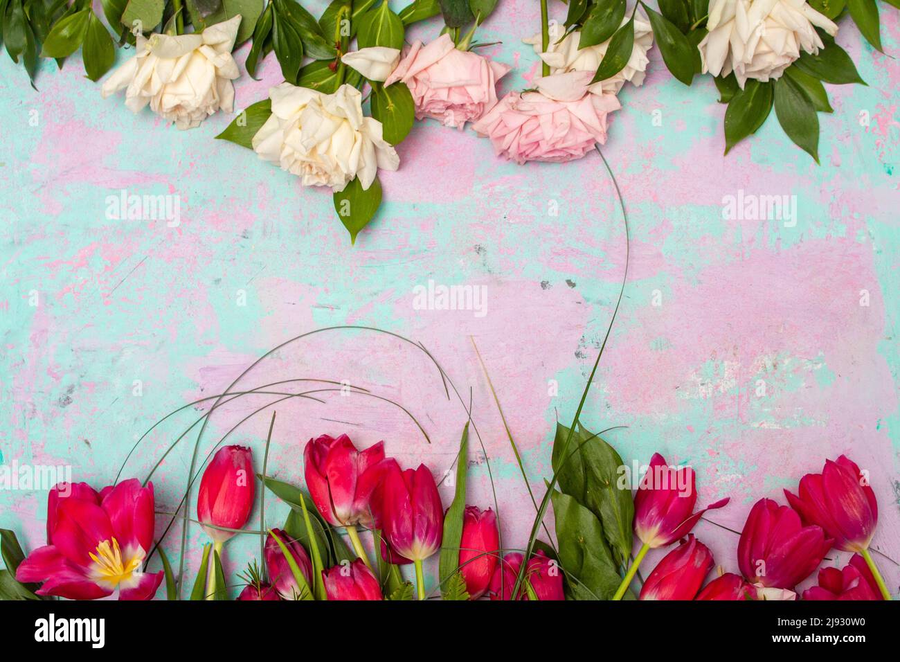beautiful background with flowerso . Spring summer border template ...